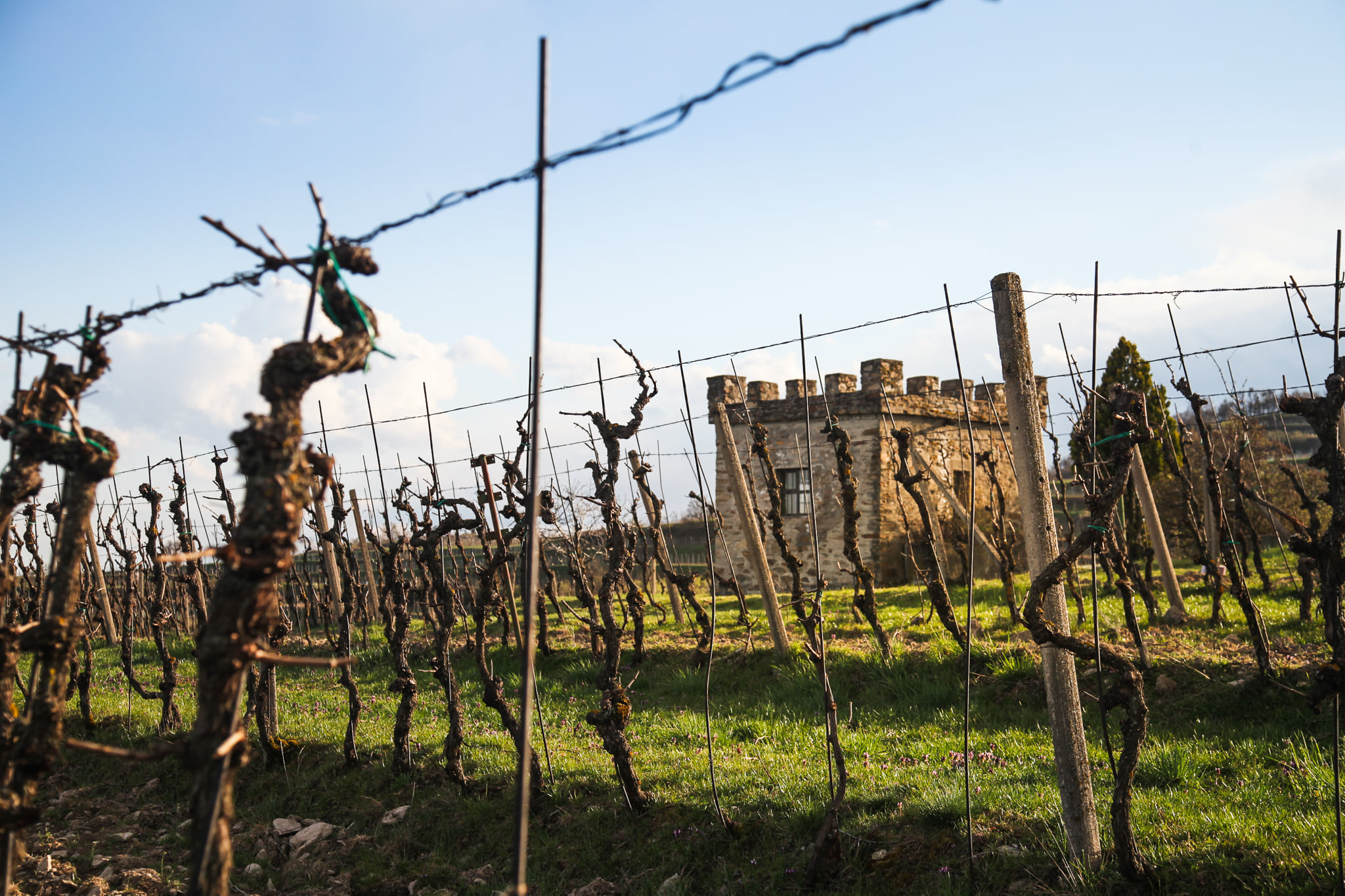 Spoznajte naše mestá a obce: To najkrajšie z Modry - Bratislavskykraj.sk