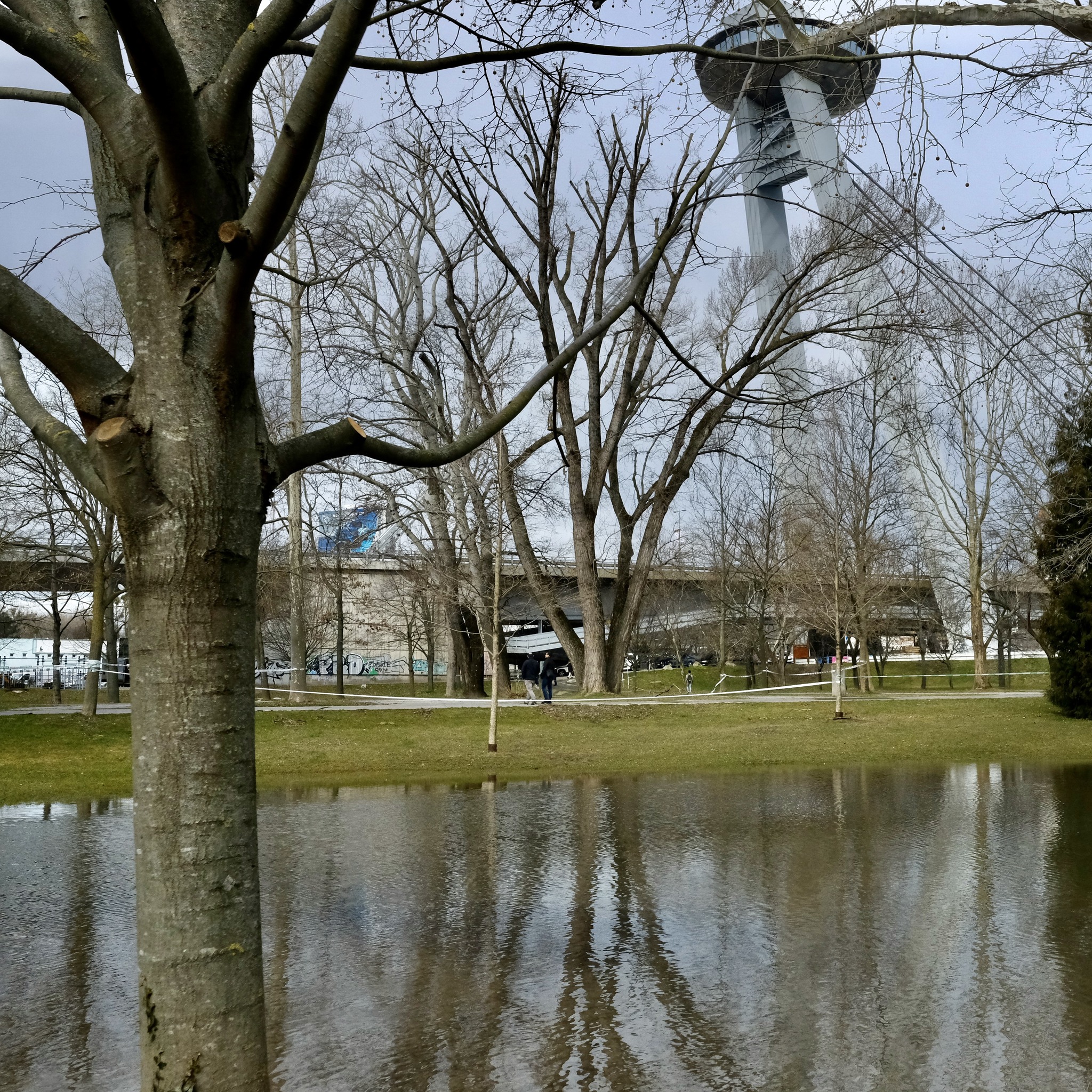 Sad Janka Kráľa je opäť bezpečný a sprístupnený v celej jeho kráse - Bratislavskykraj.sk