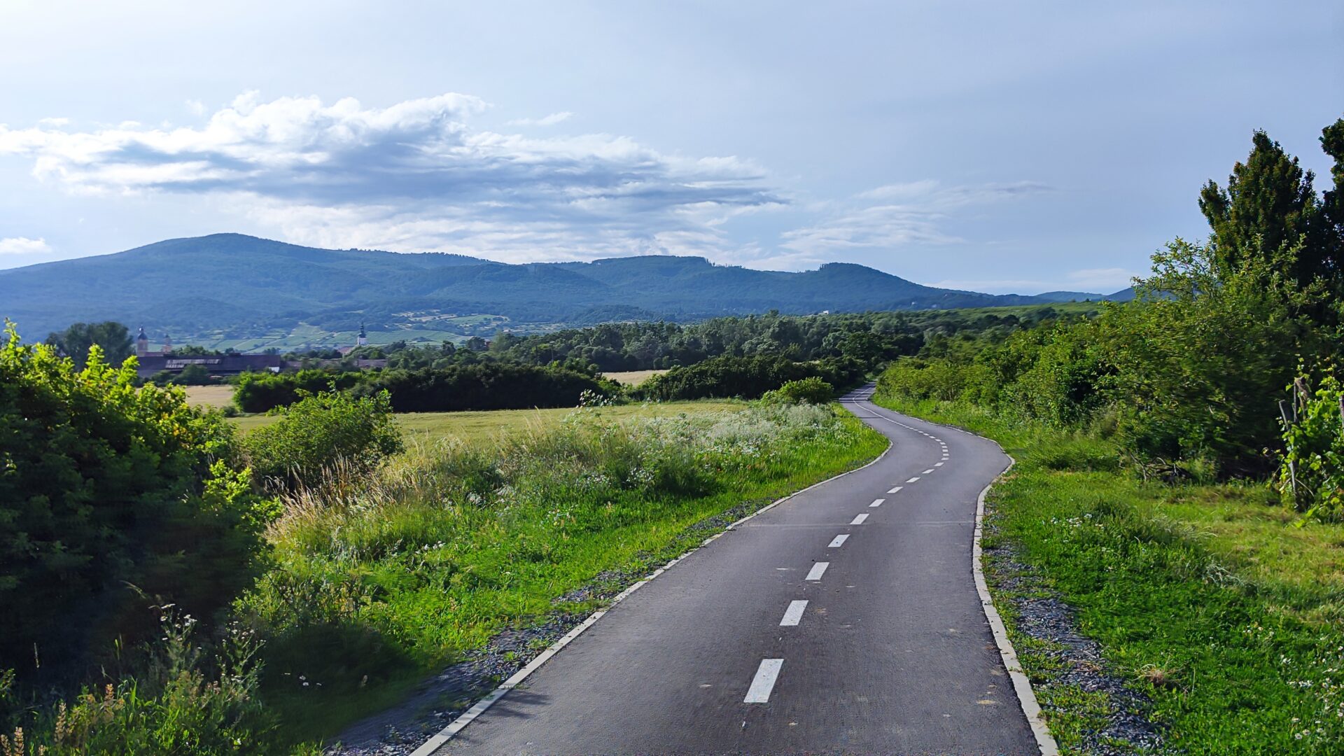 Cyklocesta z Modry do Šenkvíc: S výhľadmi na vinice i Malé Karpaty ...