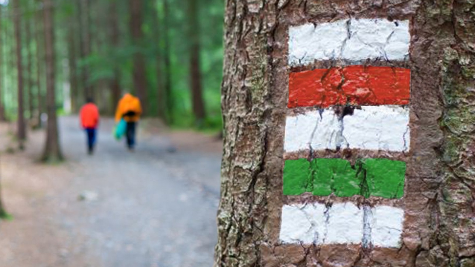 Turistické organizácie žiadajú poslancov, aby podporili zákon o turistických trasách ...